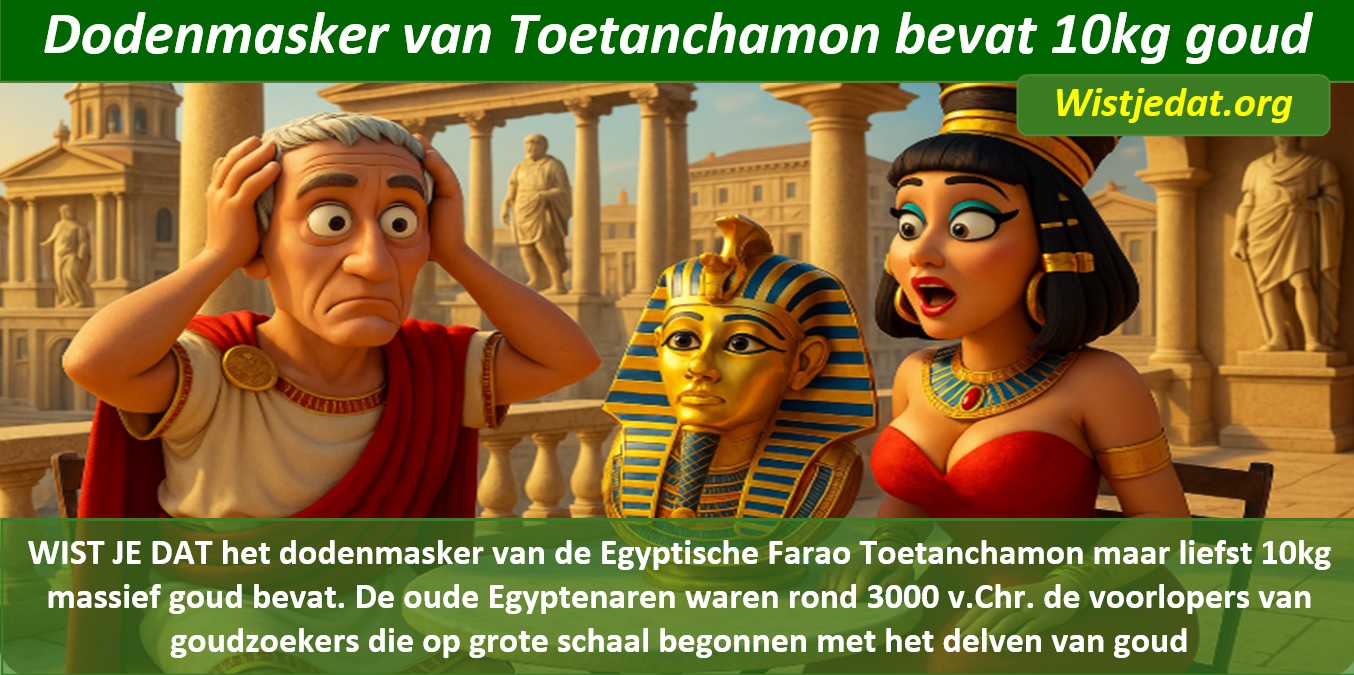 Leuke weetjes, wist je datjes, grappige cartoons en filmpjes